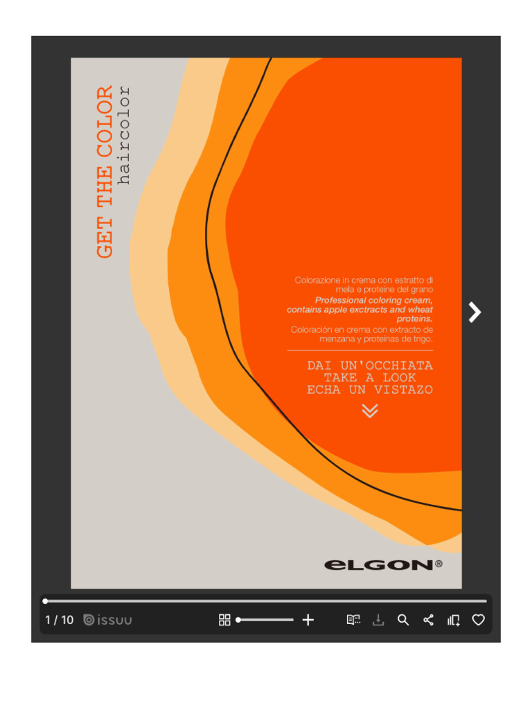 Carta de Color Elgon - Get The Color 100ml by Picharachile - Issuu 2024 ...