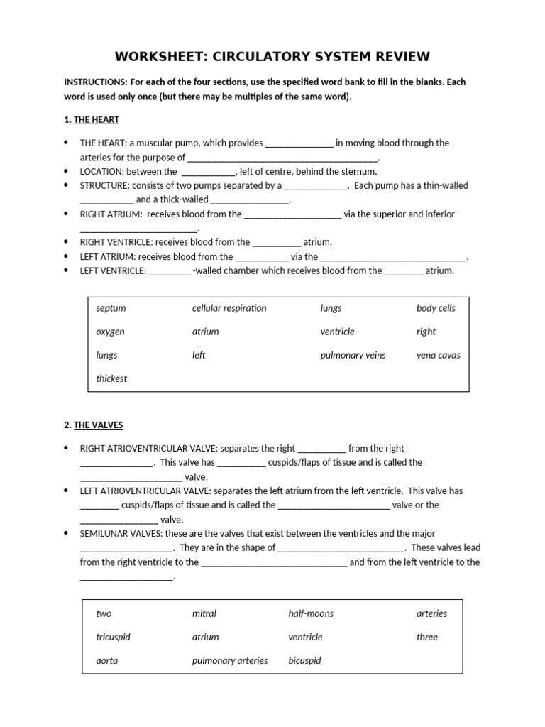 Worksheet - Circulatory System Review | PDF Worksheet - Circulatory System Review | PDF
