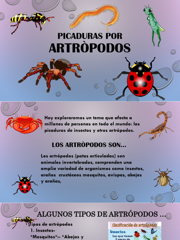 Picaduras Por Artròpodos | PDF