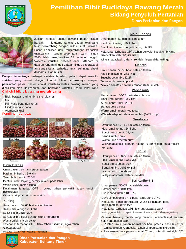 Brosur Pemilihan Bibit Bamer | PDF