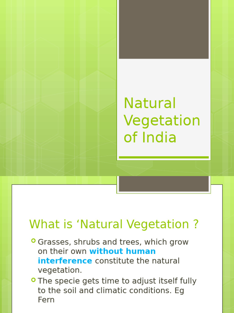 Natural Vegetation | PDF