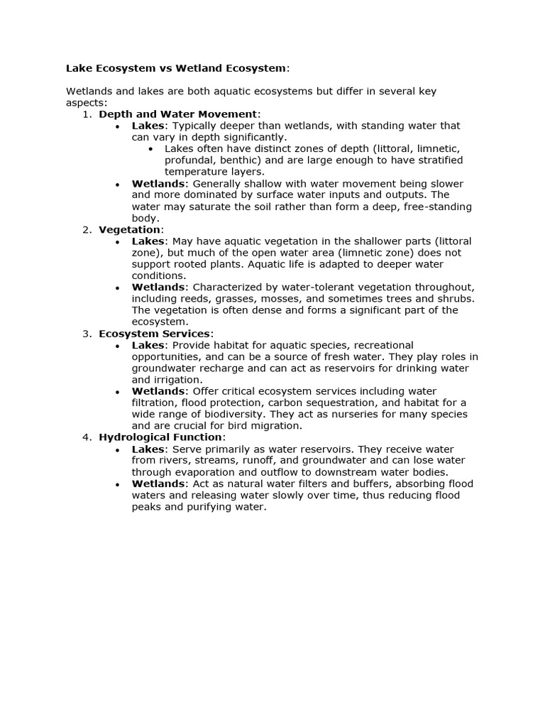 Classroom 2 Lake Ecosystem | PDF