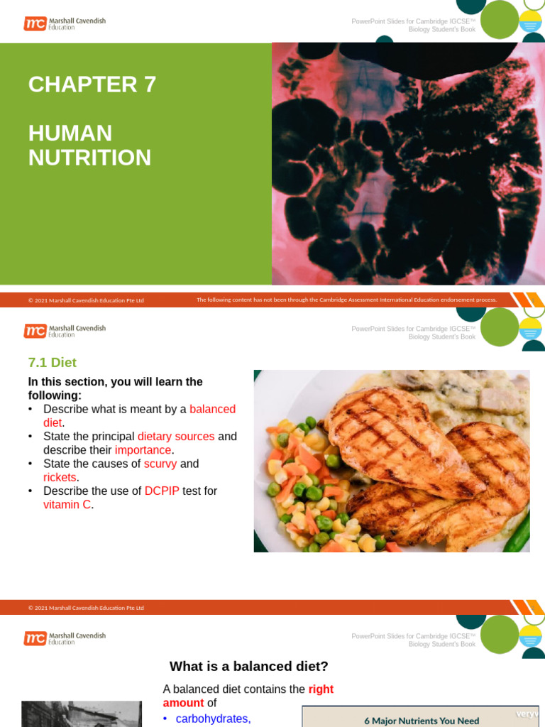 Chapter 7 - Human Nutrition | PDF