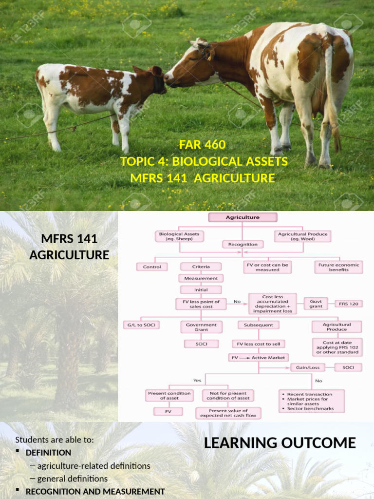Chapter 4 Biological Assets | PDF