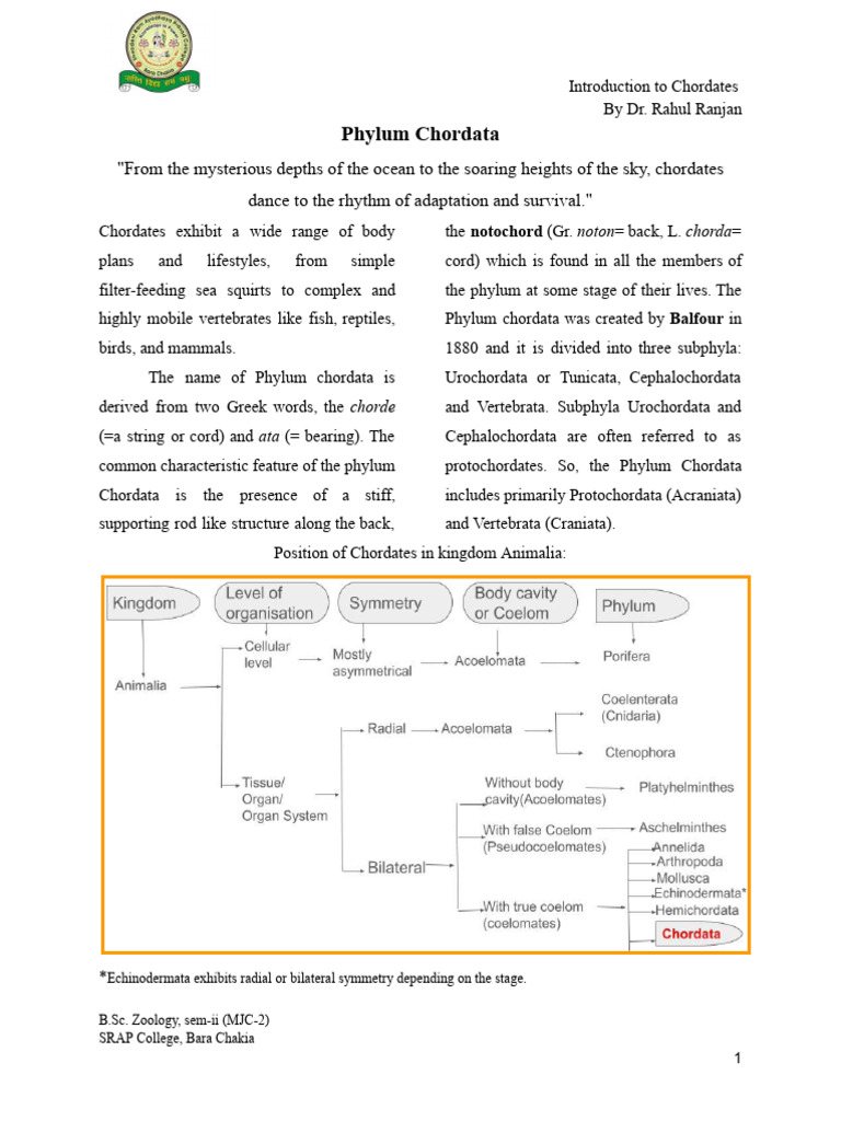 Introduction To Chordates - 0 | PDF