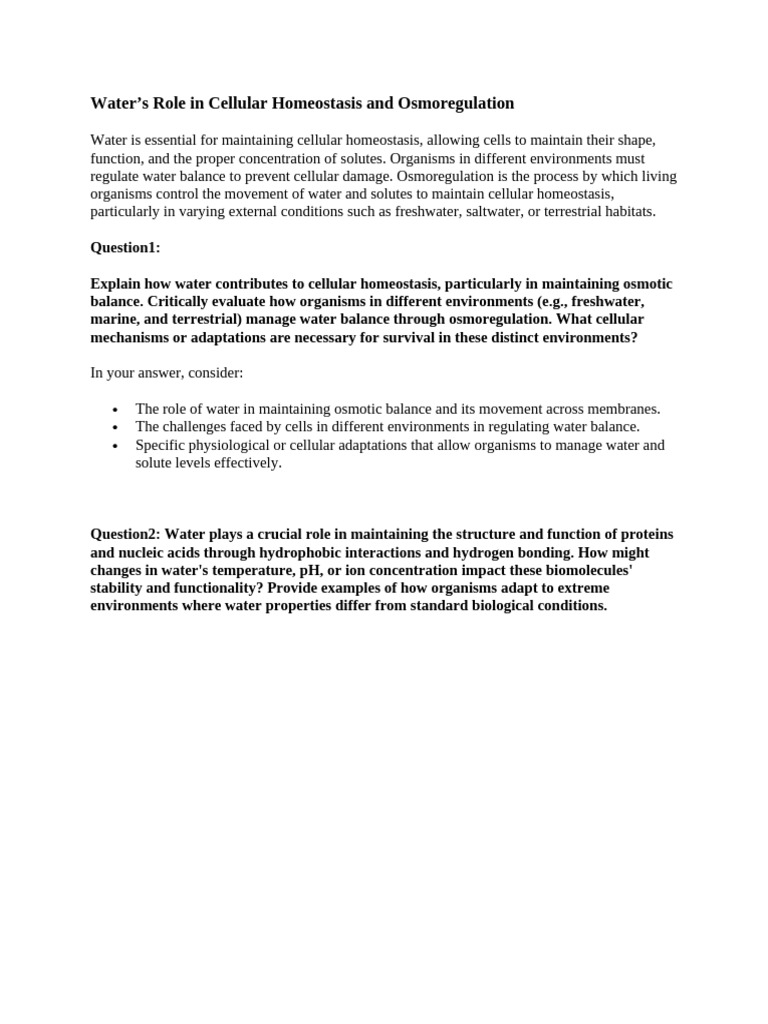 Water Critical Thinking Question | PDF