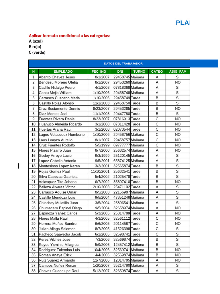 01 Formato - Condicional | PDF