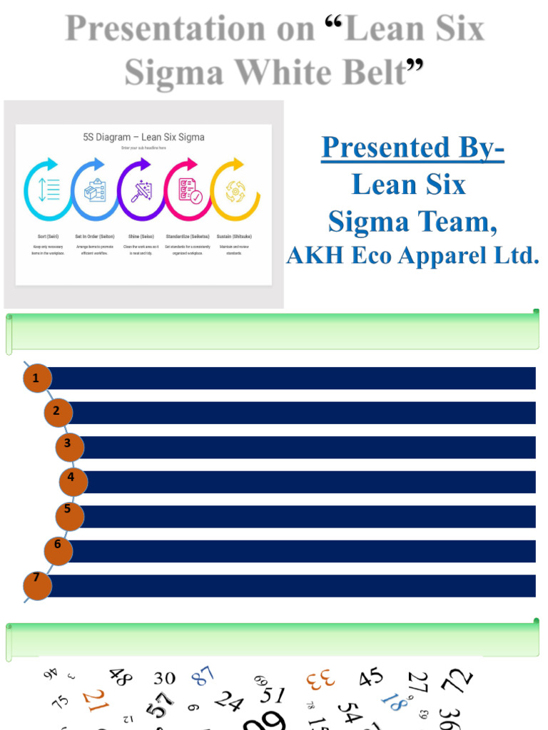 Lean Six Sigma White Belt | PDF