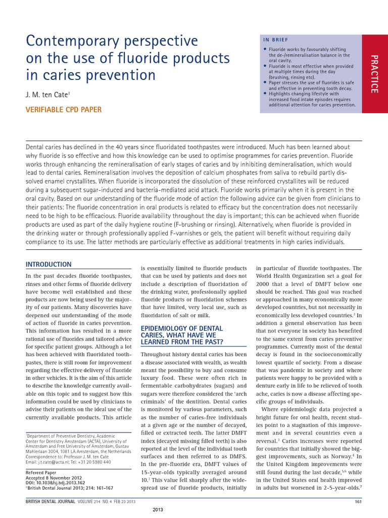 Contemporary Perspective | PDF