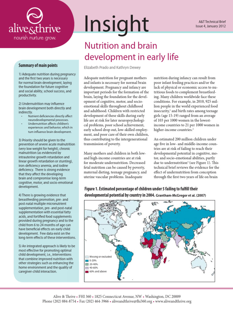 Nutrition Brain Development Early Life A TTechnical Brief 2012 | PDF