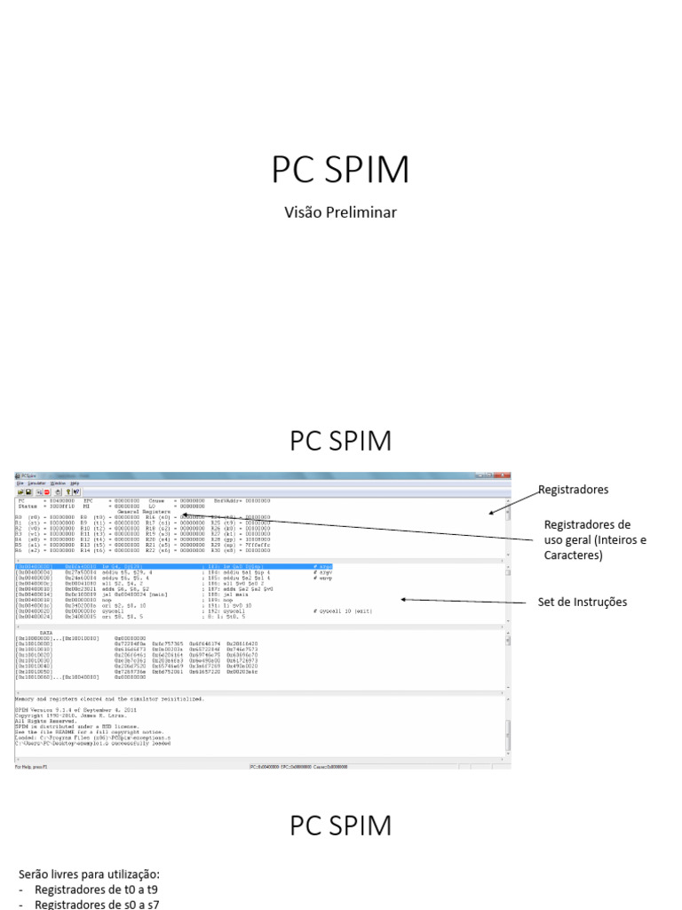 PC SPIM - Visão Preliminar | PDF
