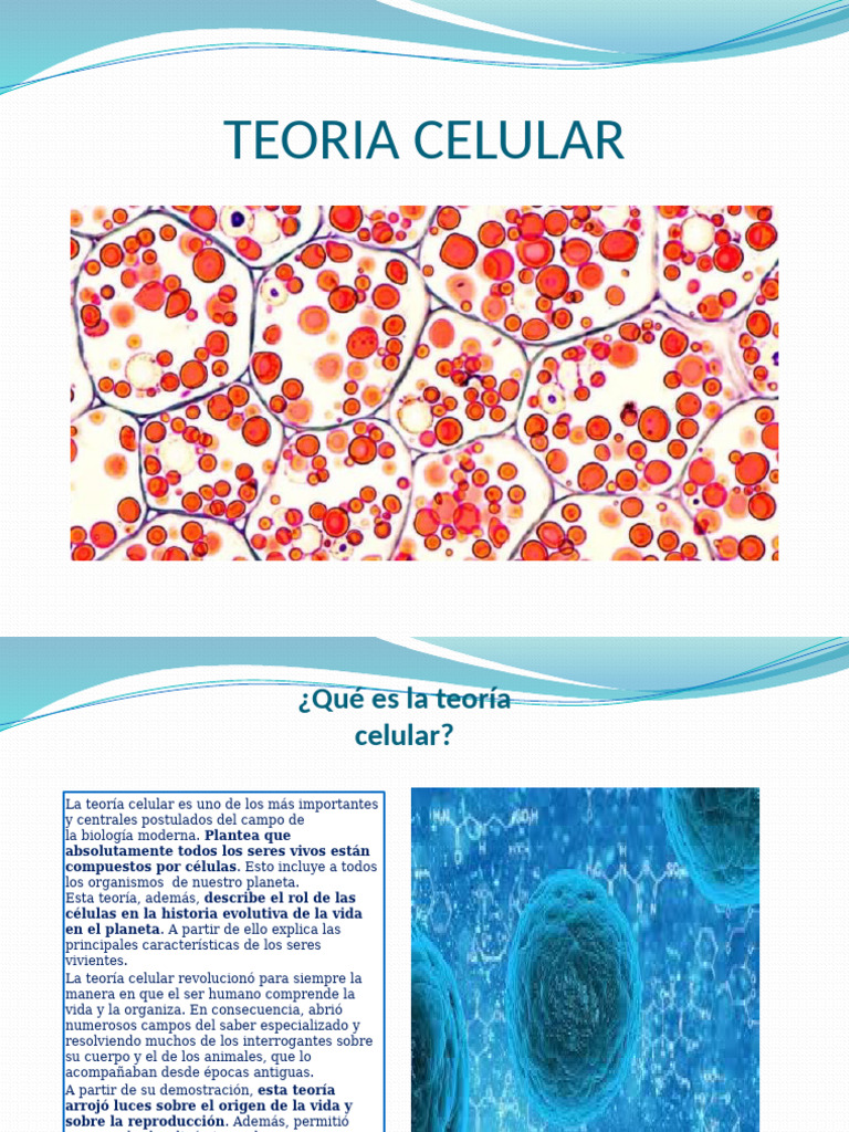 Teoria Celular | PDF