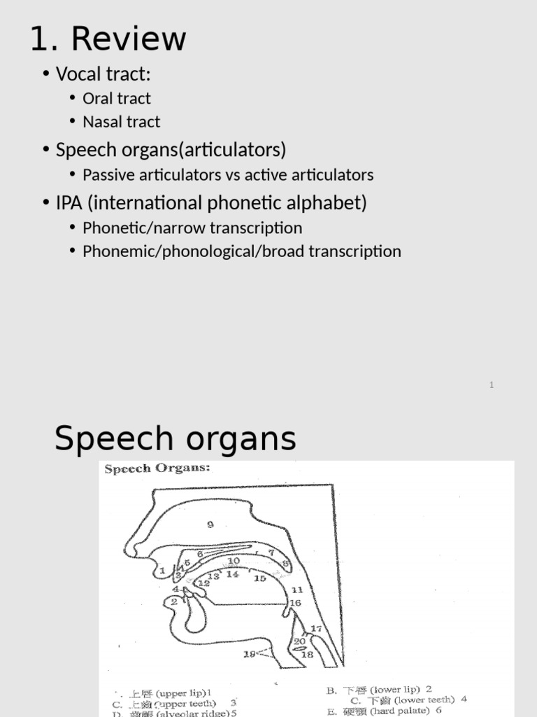 Lecture2 Consonants | PDF