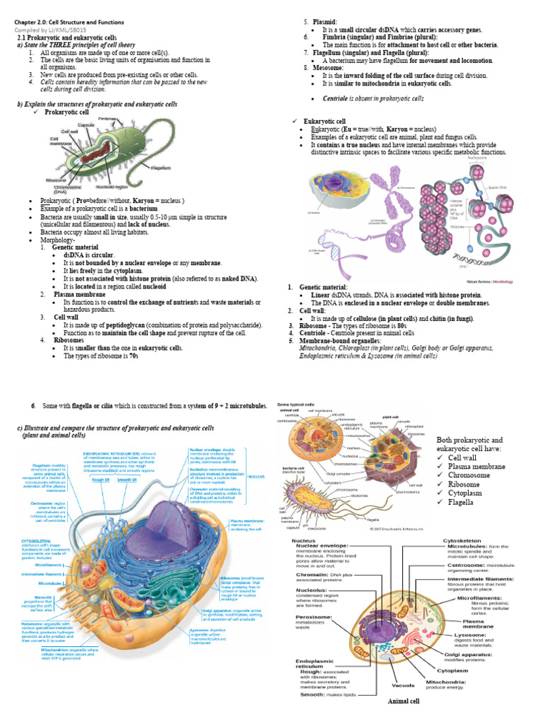Chapter 2 Cell Structure and Functions | PDF
