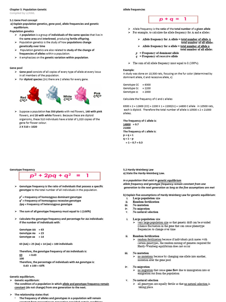 Chapter 5 Population Genetic | PDF