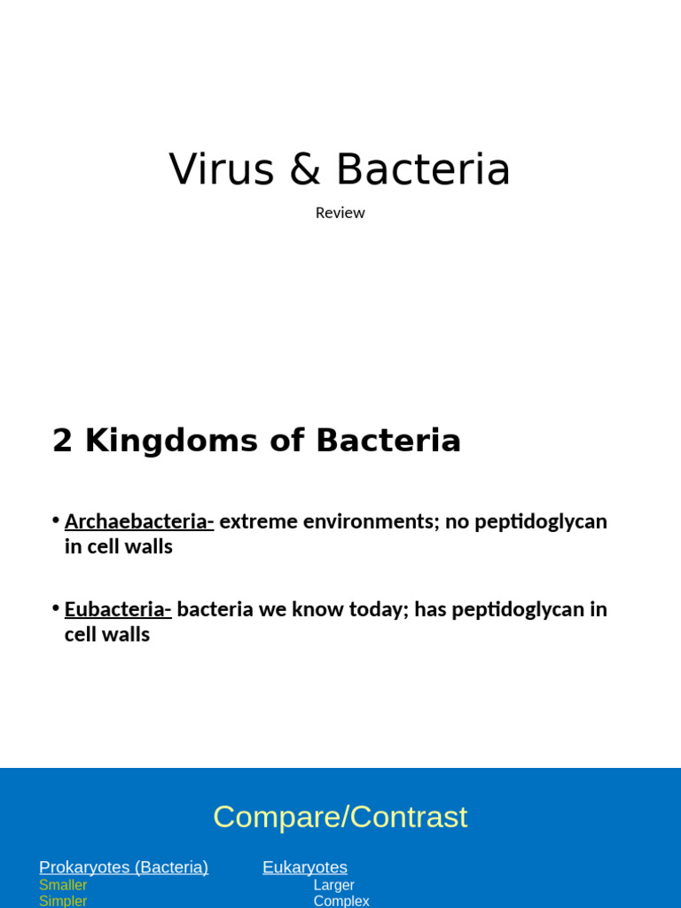 Virus & Bacteria Review PPT | PDF