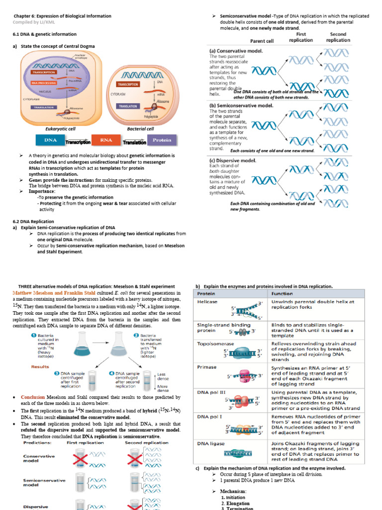 Chapter 6 Expression of Biological Information | PDF
