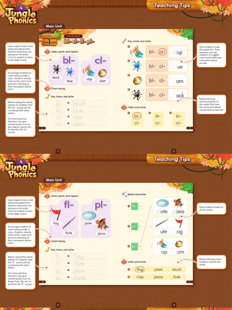 Jungle Phonics 4 TG | PDF