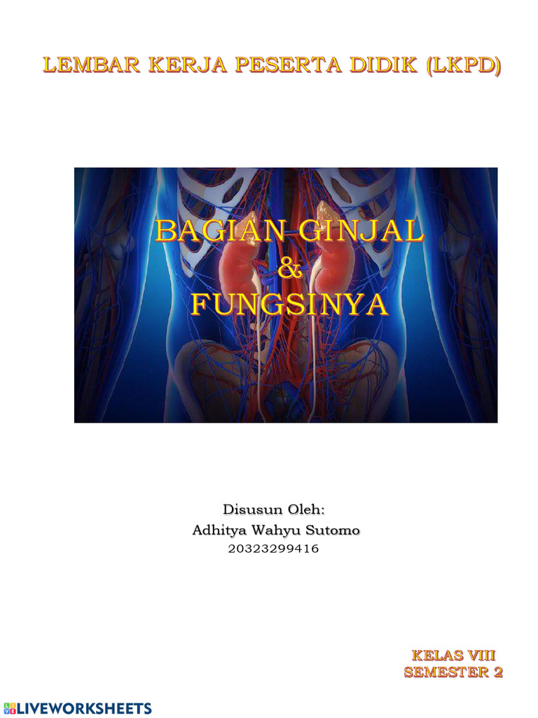 LKPD Bagian Ginjal Dan Fungsinya | PDF | Sains & Matematika