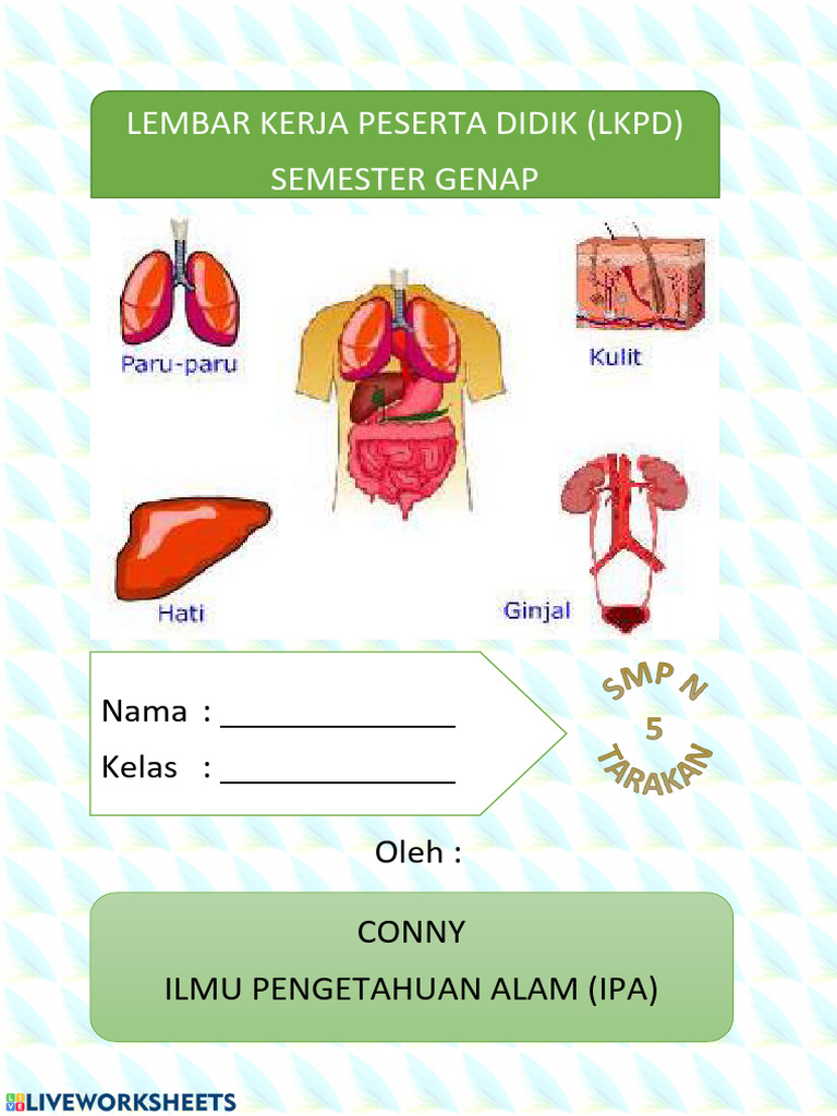 LKPD Sistem Ekskresi 1 | PDF