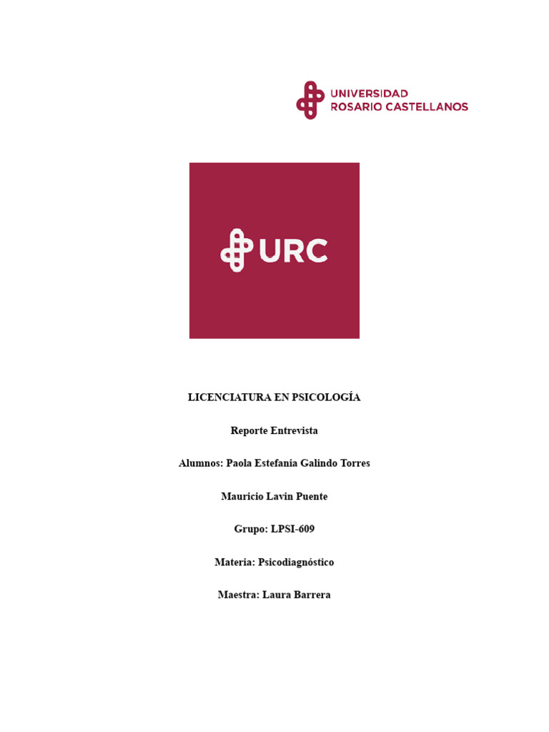 Reporte De Entrevista Docx 1 Pdf