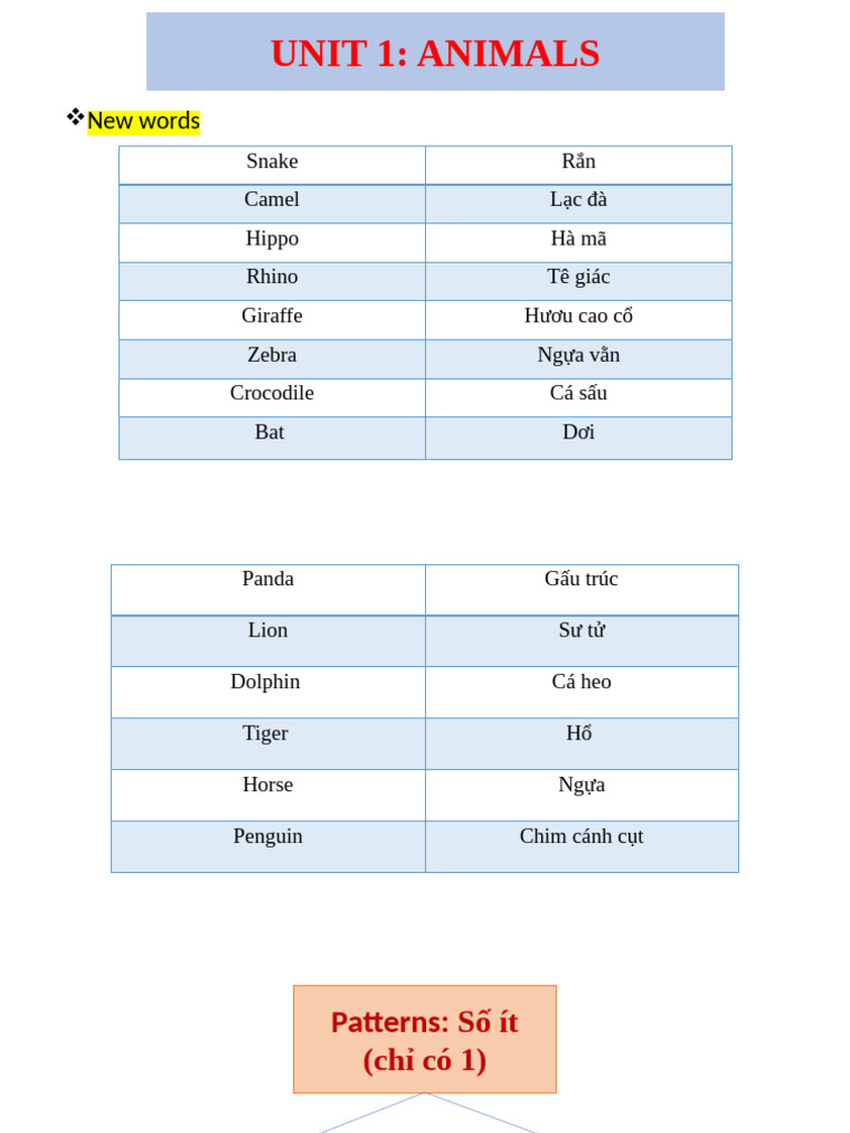 Unit 1. Animals | PDF