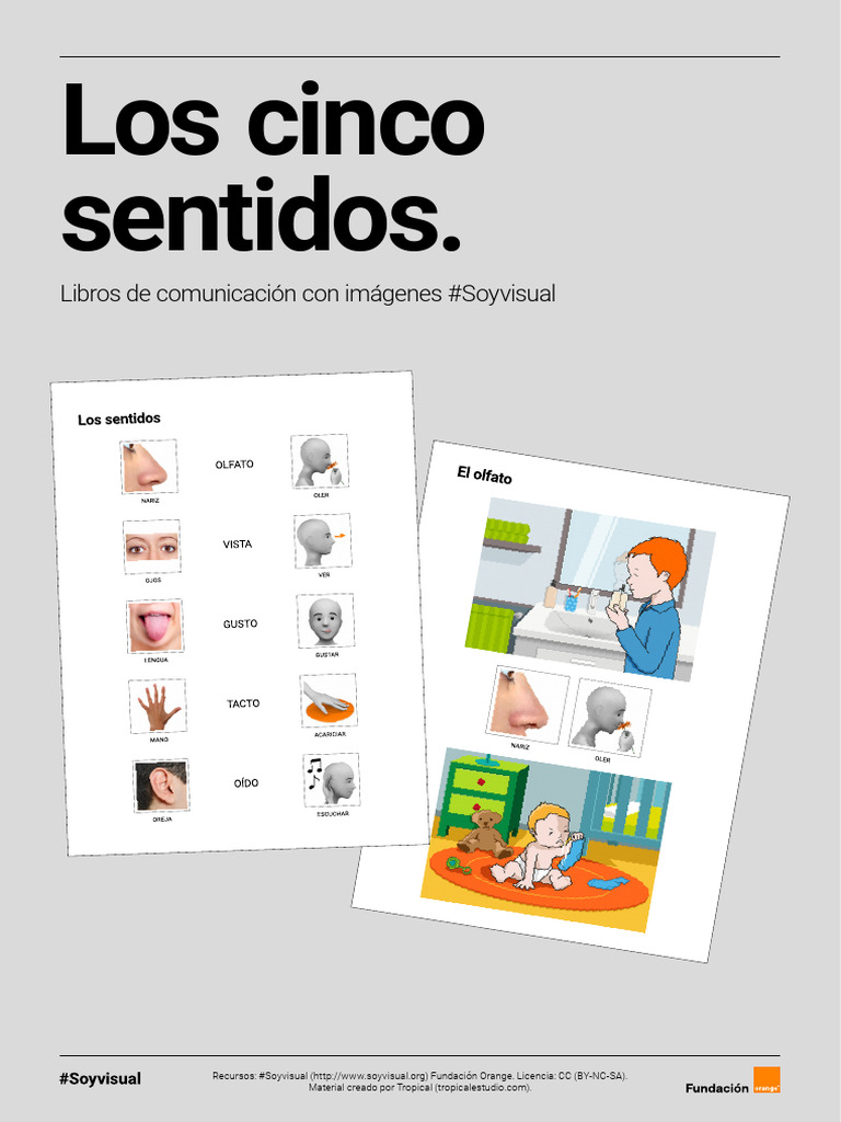 Recursos sobre los cinco sentidos humanos | PDF