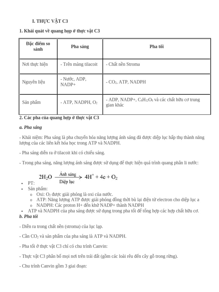 BDHSG Quang H P | PDF