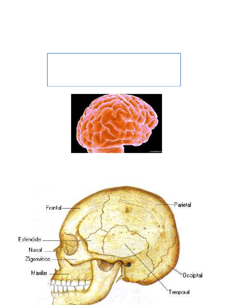 Aula de TCE-Enf Évillyn Santiago | PDF | Ciências e Matemática