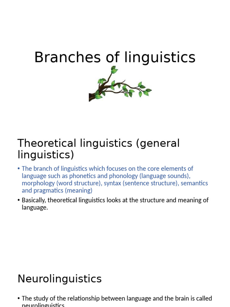 Branches of Linguistics Final | PDF