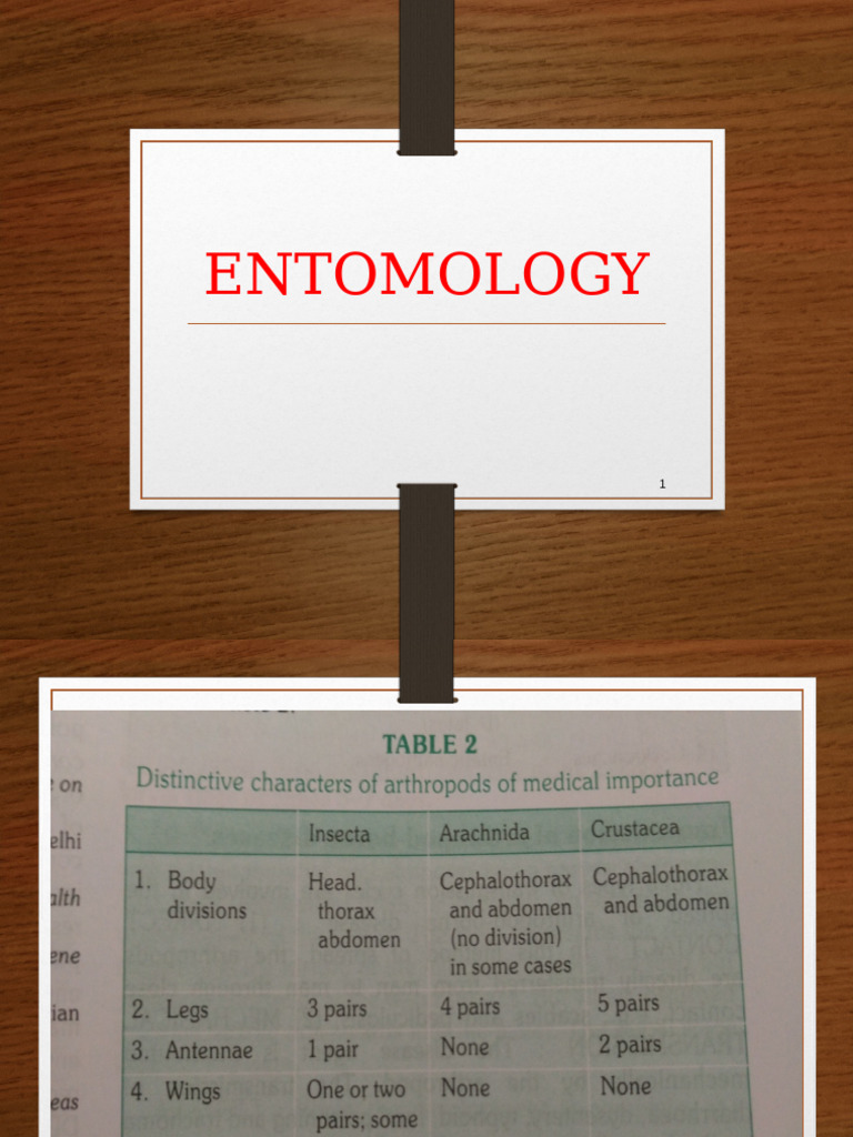 Entomology New | PDF