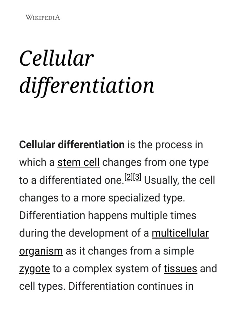 Cellular Differentiation | PDF