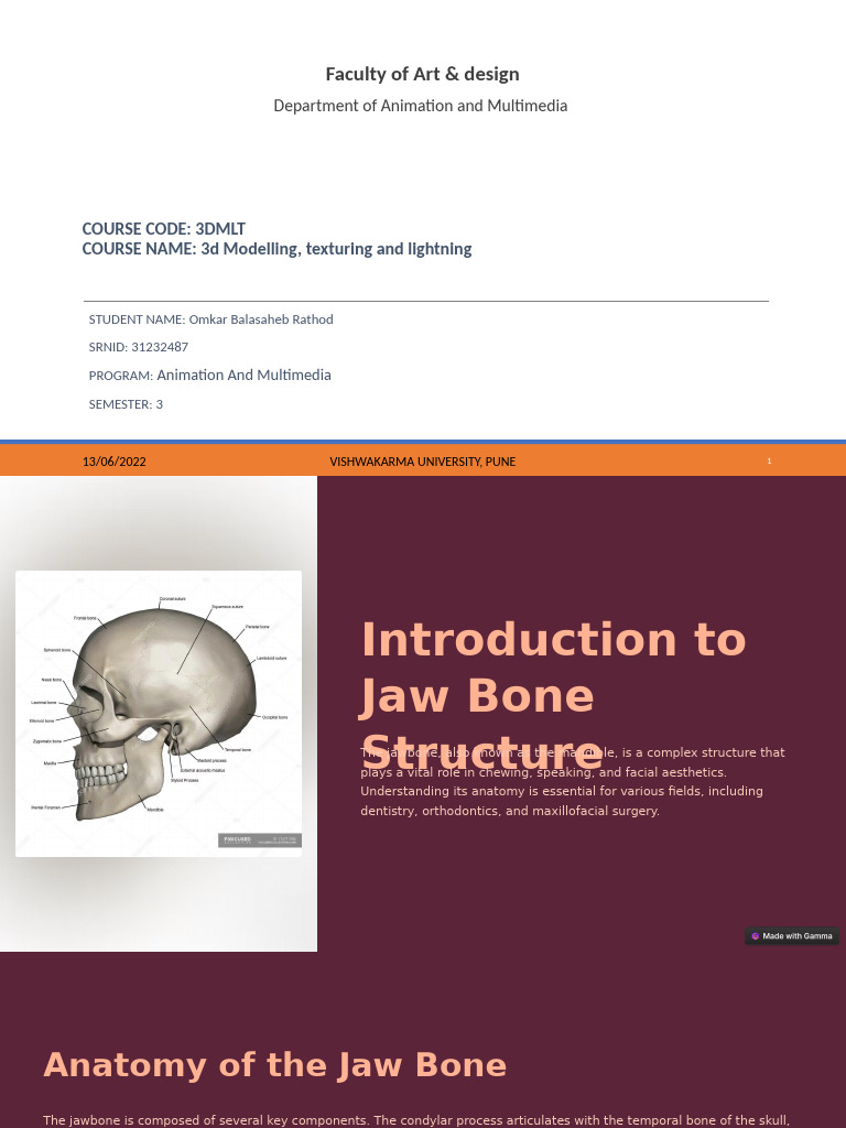 Introduction To Jaw Bone Structure | PDF