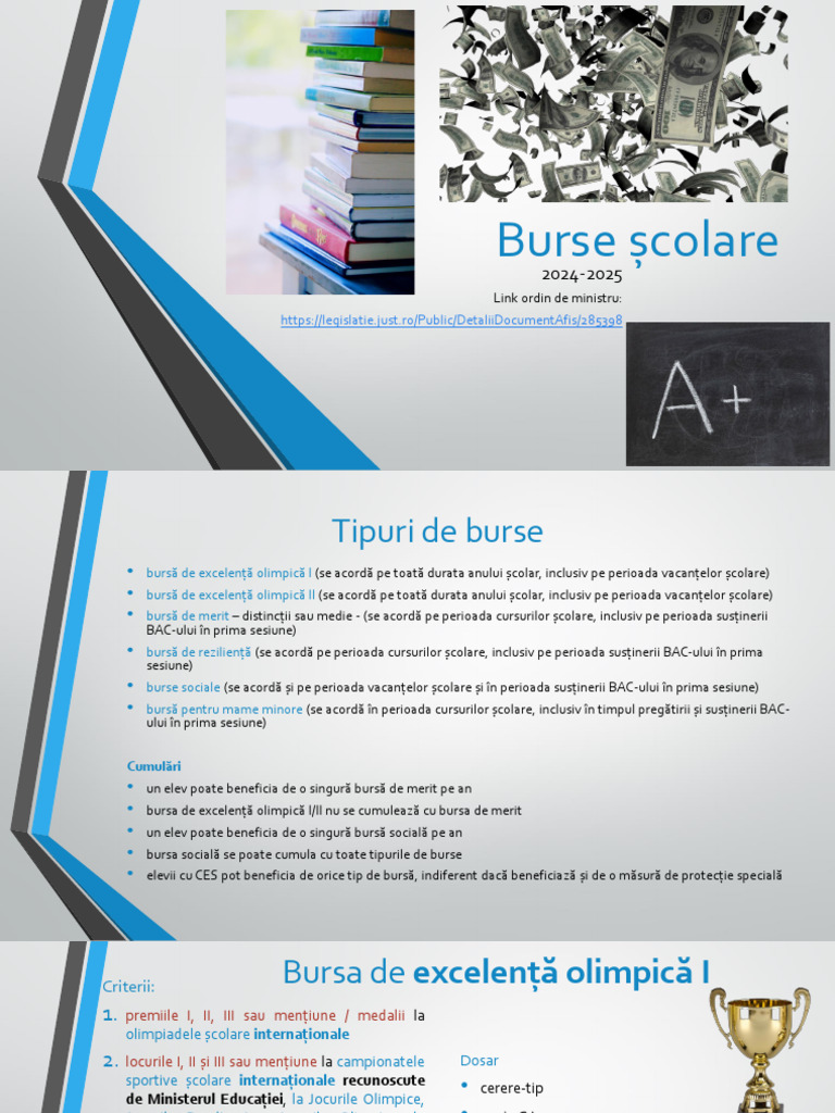 Burse - Criterii | PDF