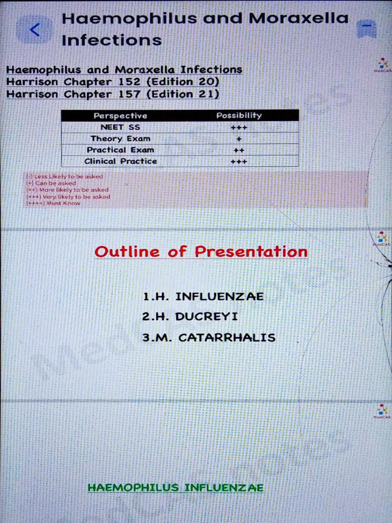 Haemophilus & Moraxella Infection | PDF