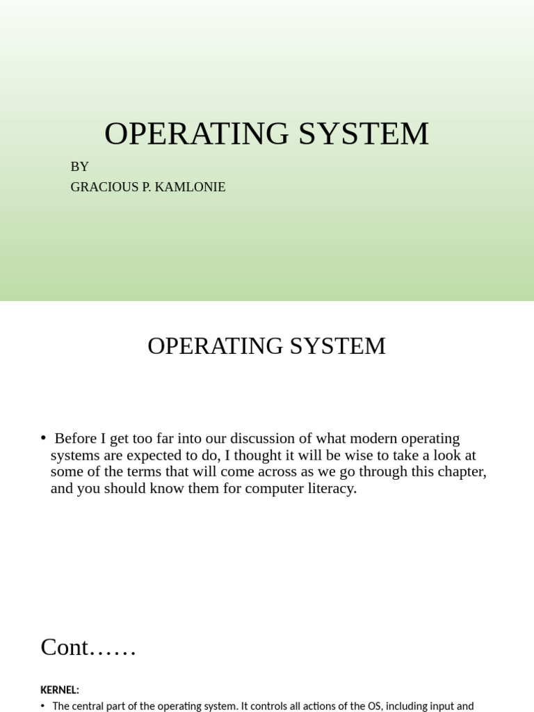 Chapter 4 Operating Systems | PDF