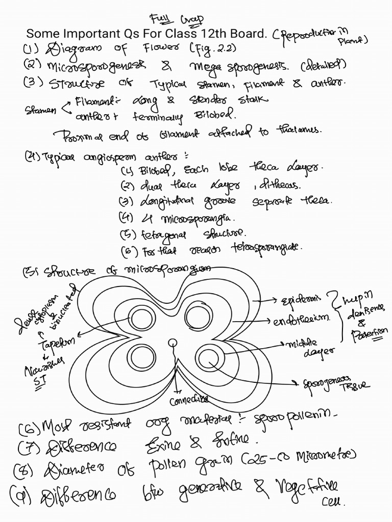 Reproduction in Plants | PDF