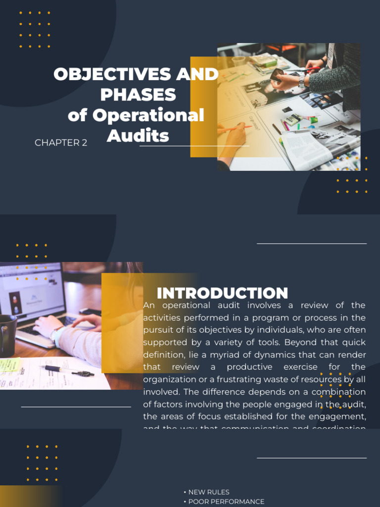 Chapter 2 Operational Auditing | PDF