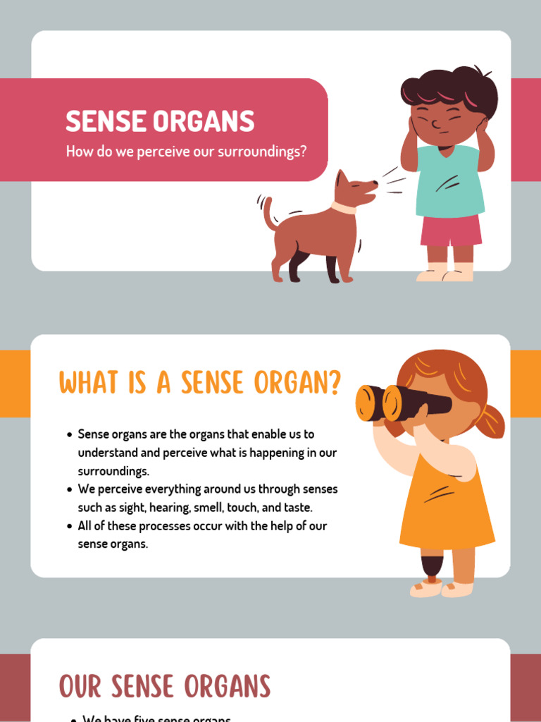 Gray Red Fun Sense Organs Presentation | PDF | Language Arts ...
