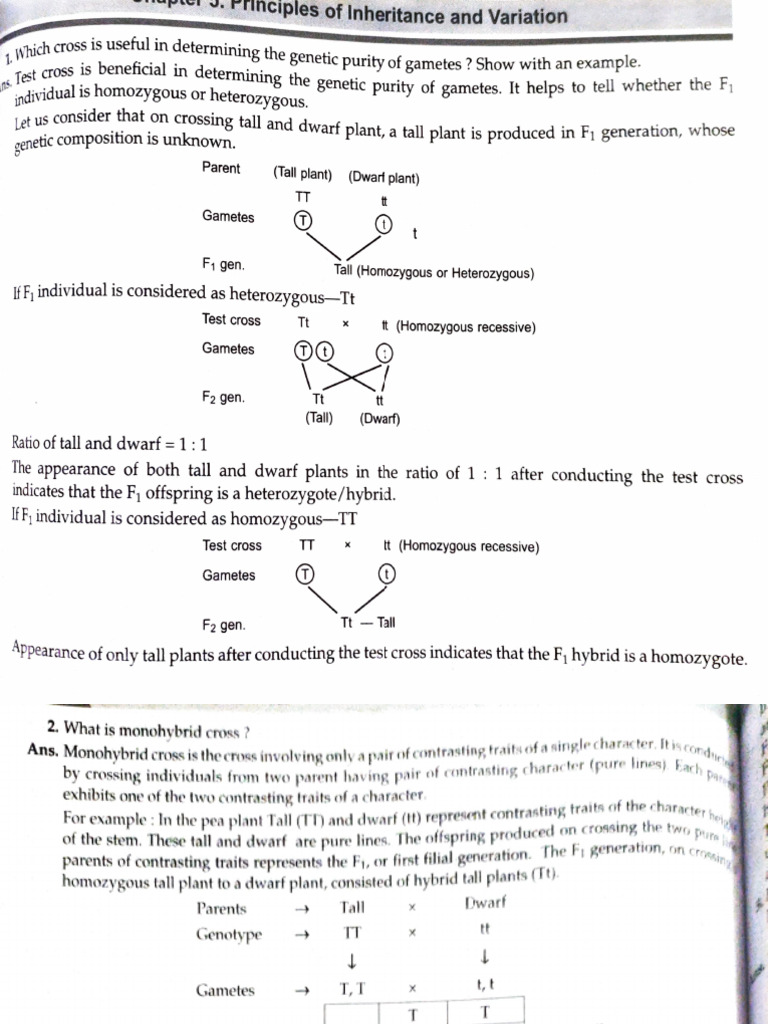 Principles of Inheritance and Variations Chapter - 5 | PDF