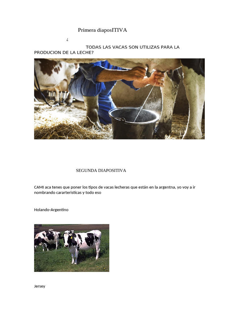 Vacas | PDF