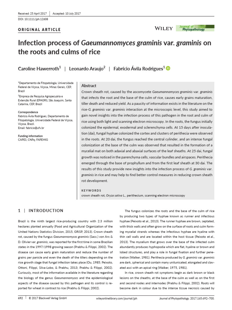 Infection Process of Gaeumannomyces Graminis Var. Graminis On The Roots ...