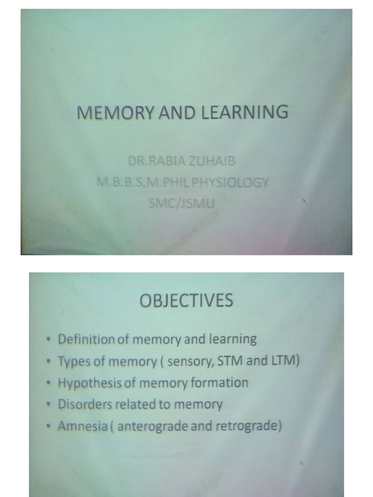 Learning and Memory | PDF