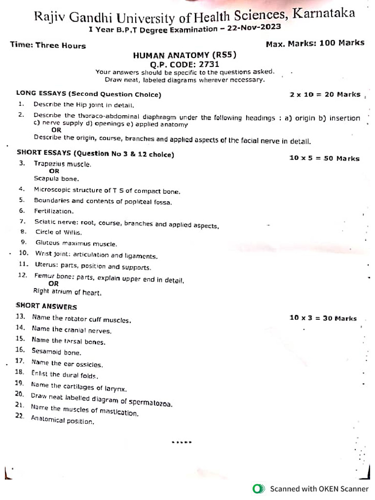 Human Anatomy Q Paper BPT 1ST Yt Rguhs Karnataka | PDF