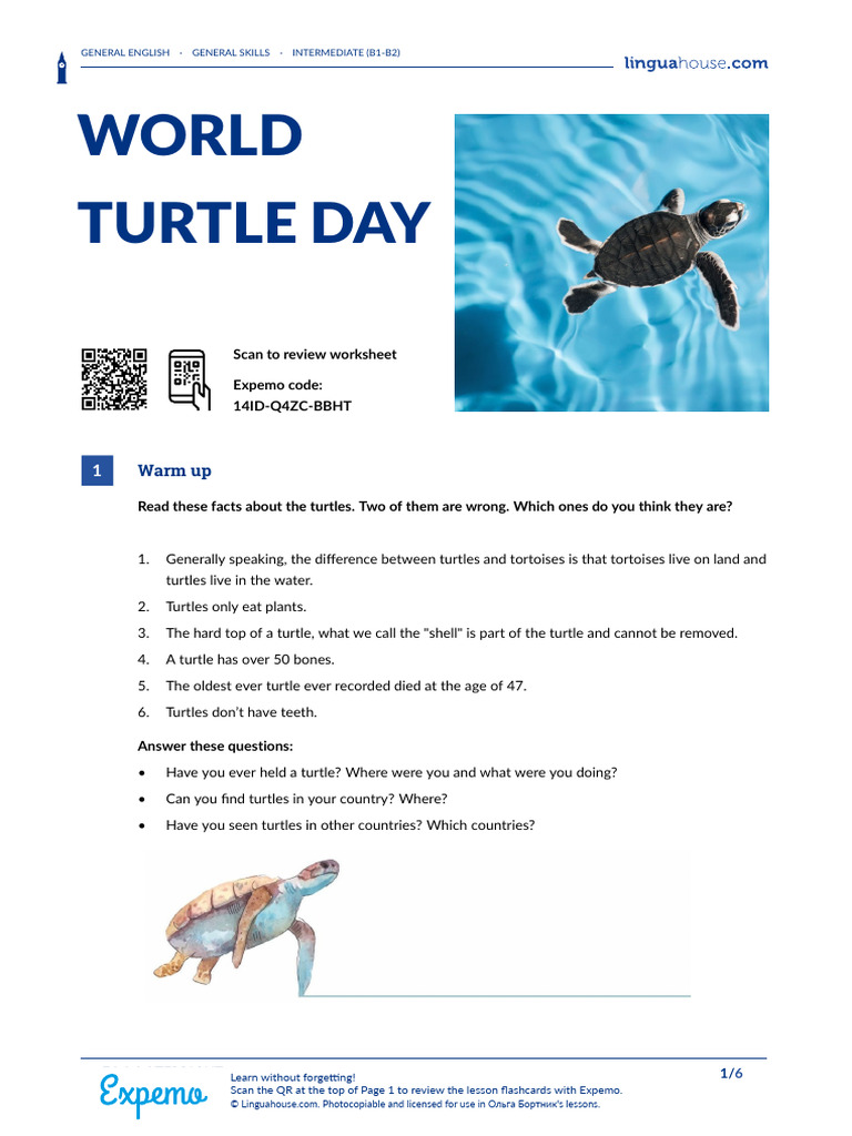 World Turtle Day British English Student | PDF