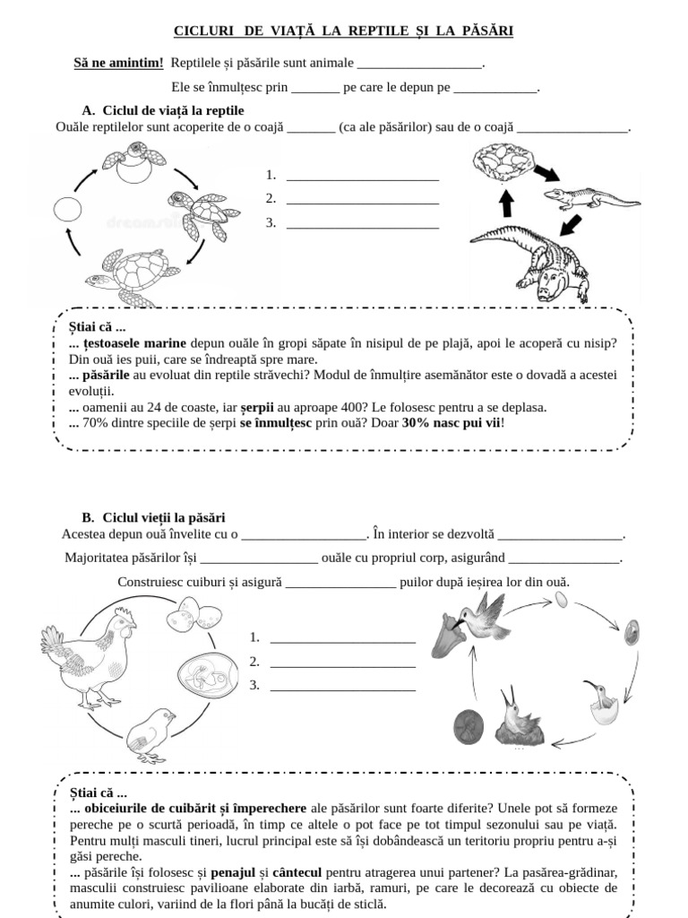 Cicluri de Viata La Reptile Si La Pasari | PDF