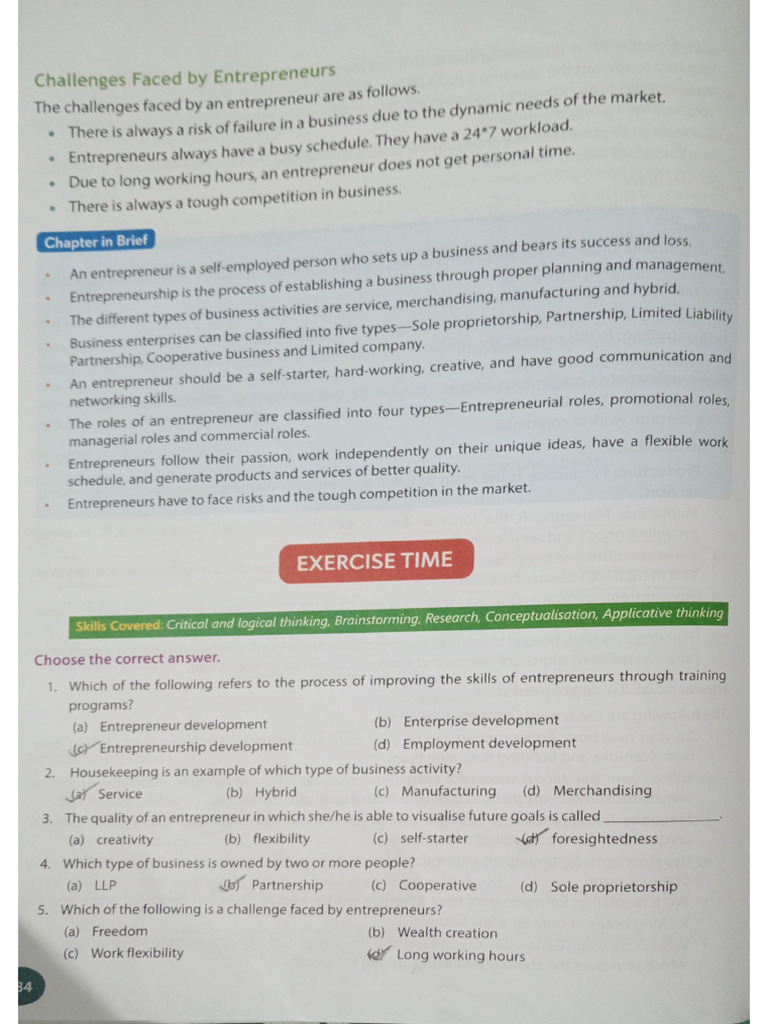 Chapter 4 Entrepreneurial Skill | PDF