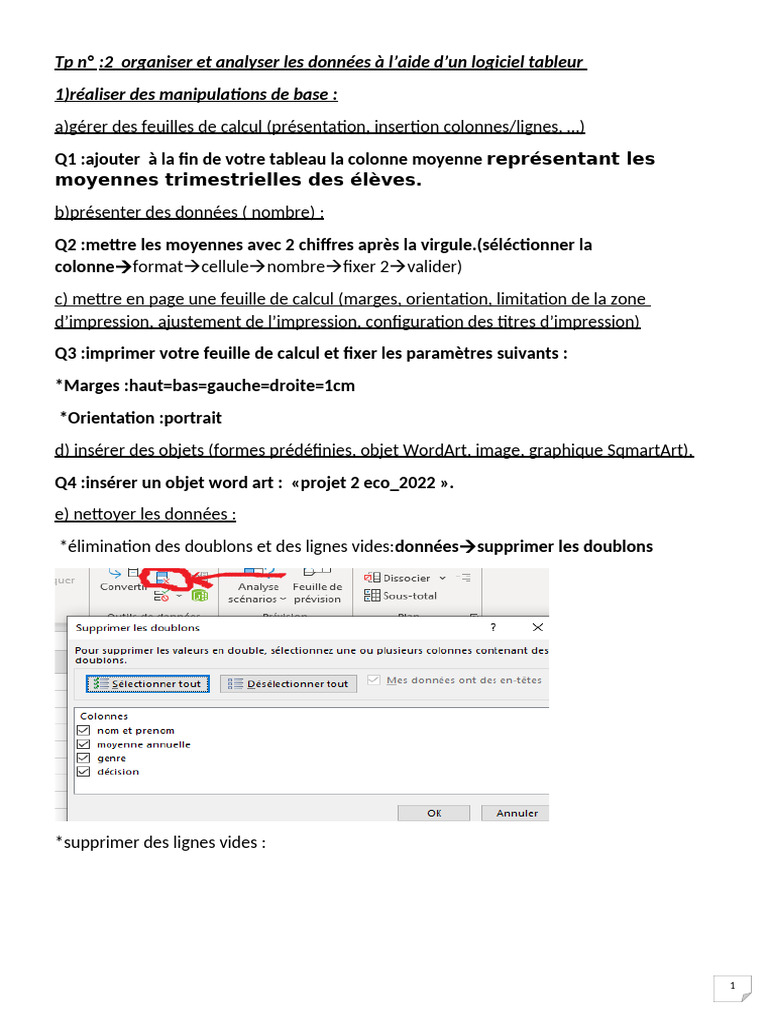 Tableur-Organiser Et Analyser Les Données - 2eco | PDF