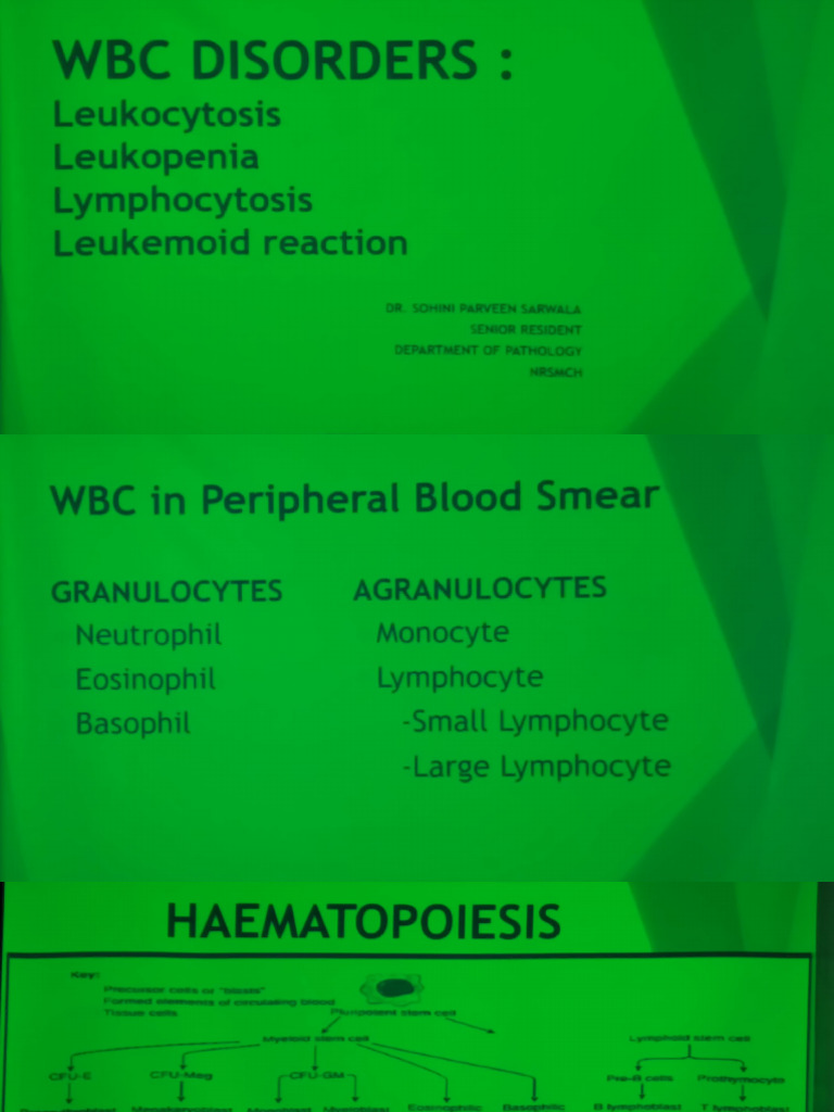 WBC Disorders | PDF