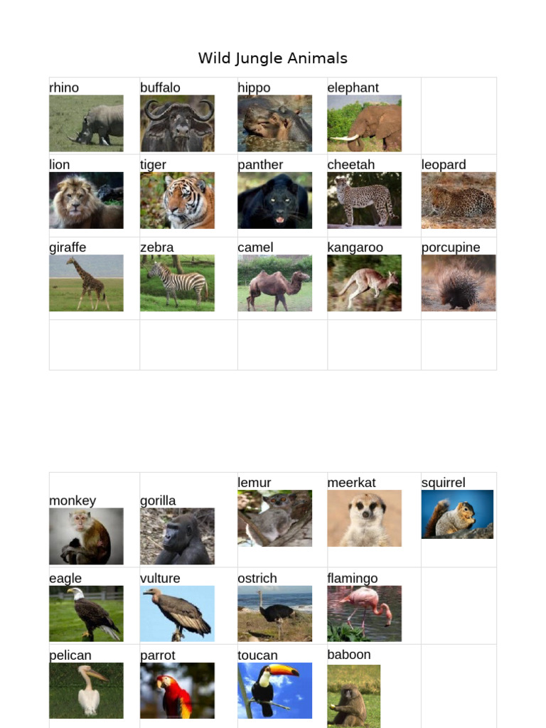 Wild Jungle Animals | PDF